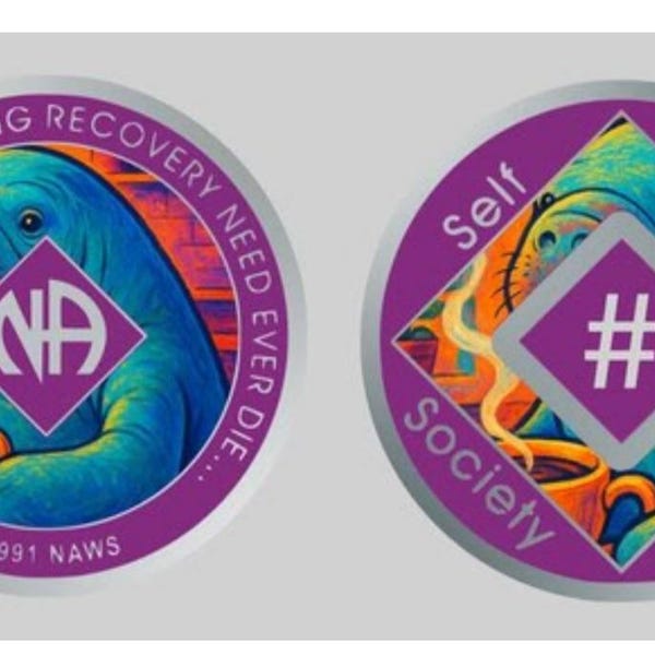Limited Edition Narcotics Anonymous Medallion | Custom NA Coin for ...