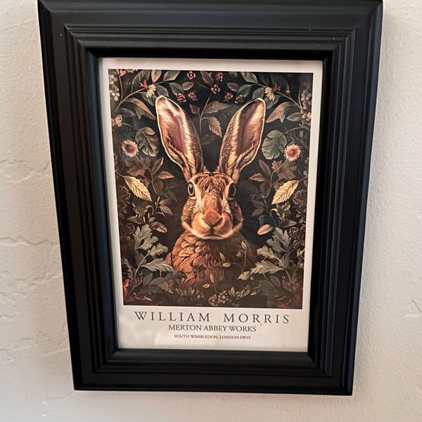 Dragonfly Print, William Morris Style Illustration, William Morris ...