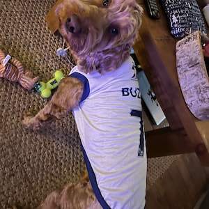 Barcelona Personalised Pet Tank Top FC 23/24 With Original FC Logo dog ...