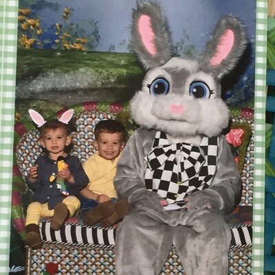 Bunny Ear Clips, Bunny Ears, Bunny Ear Photo Prop, Easter Bunny Ears ...