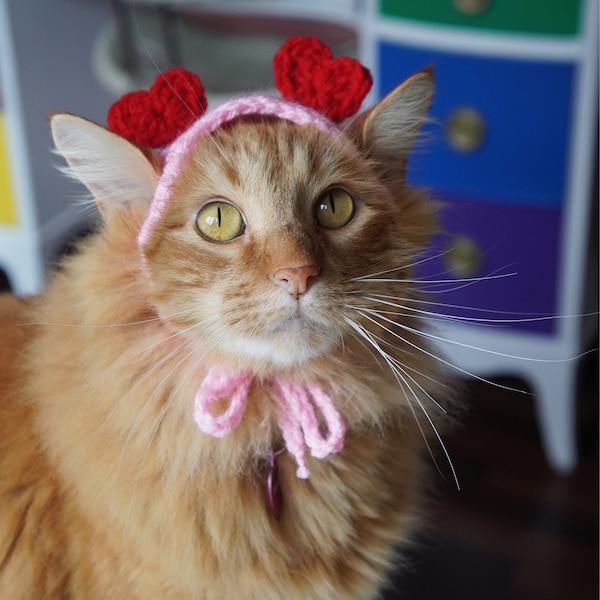 Heart Headband for Cats, Valentine's Day Cat Accessories, Cat Photo ...