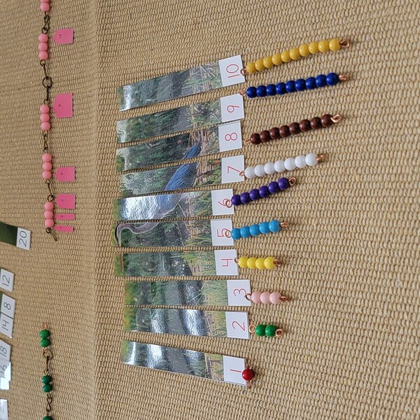 Printable Montessori Pink Series CVC Writing Templates in Print and ...