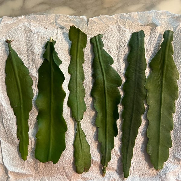 Miniature Crown Shaped Golden Metal Jewelry Box Decorative Precision ...