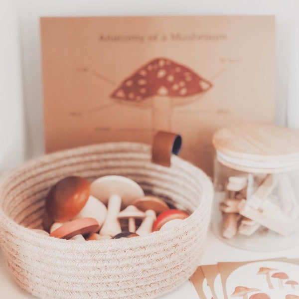 Cursive Alphabet Poster - Nature Watercolor Illustrations - ABC Print ...