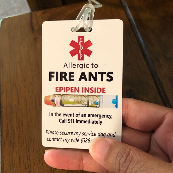 Color Portfolio Book - TUFTEX, Sempertex, Kalisan, Gemar Balloons - Etsy