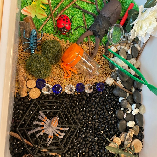 Bug Sensory Bin, Bug Sensory Kit, Tinker Toys, Backyard Explorer, Bug ...