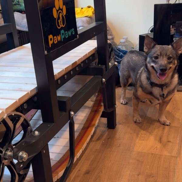 Pawpaw’s Dog Treadmill for Large Dogs, Medium Dogs. Dog Pacer Treadmill ...