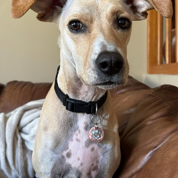 Stitch-dog Id Tag With a Quilting Theme - Etsy