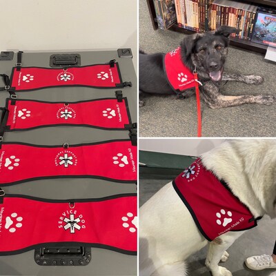 Emotional Support Cat Vest - Etsy