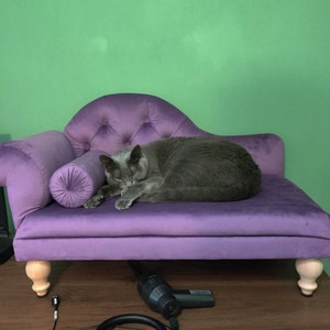Baroque Cat Sofa Chaise Lounge Pet Dog Sofa Vintage Style - Etsy