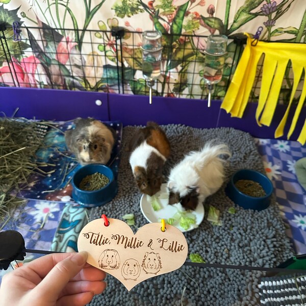Guinea Pig Trio Cage Tag, Personalized, Custom, Engraved Wood, Pet ...