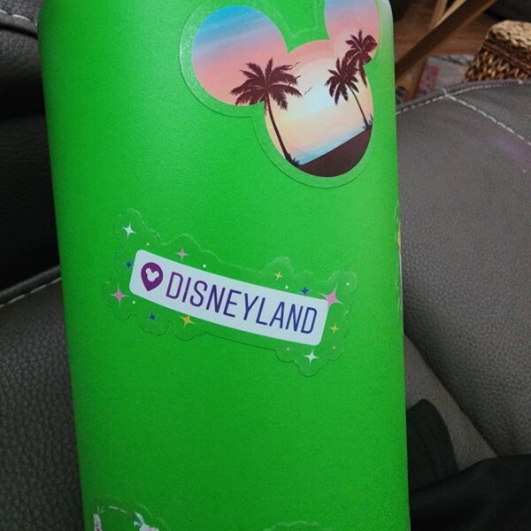 Disneyland Destination Drop Pin Transparent Sticker/ Hidden Mickey ...