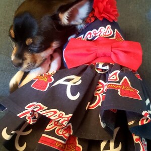 Dog Show Training Stack Box Toy Adult Size Stack Training 20 X 12 ...