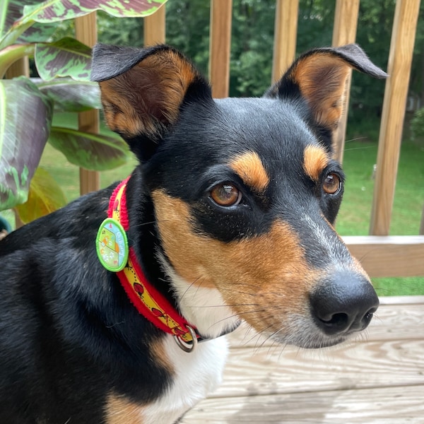 Dog Scout Merit Badge Bundle | Iron-on Patches for Jackets & Bandanas ...