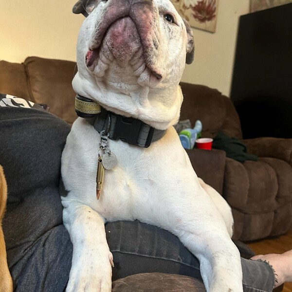 AR-15 Bullet Keychains Custom Engraved Gifts for Him gifts for Her ...