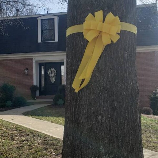 Tree Topper Bow, Large Bows, Peacock Color, Teal Purple Lime Bow - Etsy