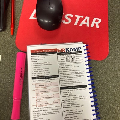 Labs Fishbone Medication Levels ABG Reference Badge ID Nursing Student ...