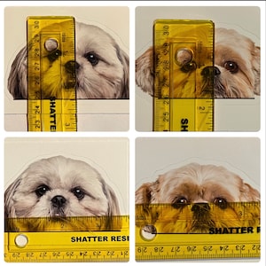 Peeking Panda Bear Car Decal Sticker / Kawaii Funny Panda - Etsy