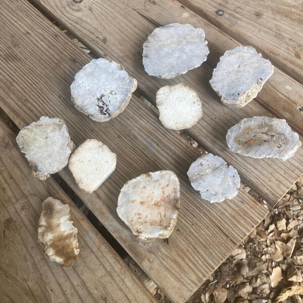 8lbs of Carthage TN Unopened Geodes/agates/nodules Lapidary Break or ...