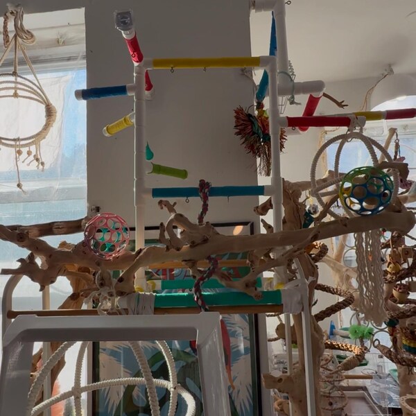 25 Closed Bird Leg Bands Aluminum Custom Laser Engraved in USA - Etsy