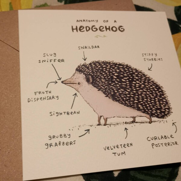 Anatomy of A Hedgehog Card - Etsy