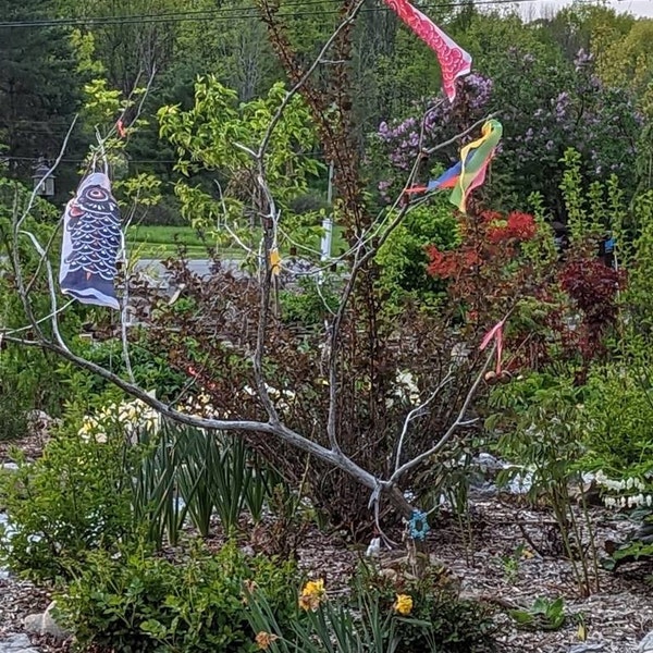 Japanese Set of 3 Small Koi Fish Koinobori Windsock Flag Carp Streamer ...