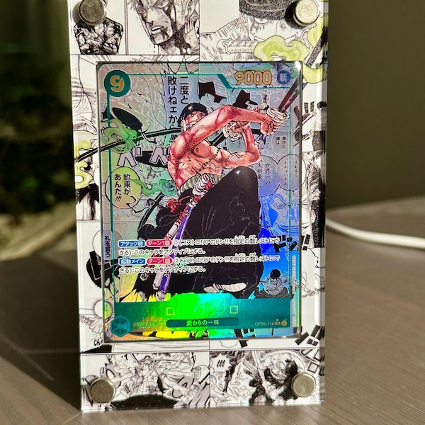 Zoro Manga Custom One Piece Display Case - Etsy