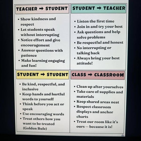 Bill of Rights Anchor Chart, 10 Amendments Poster, US Constitution ...