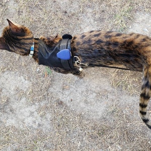 Safetykatz Walking Jacket Red Custom Made Cat Reversible - Etsy