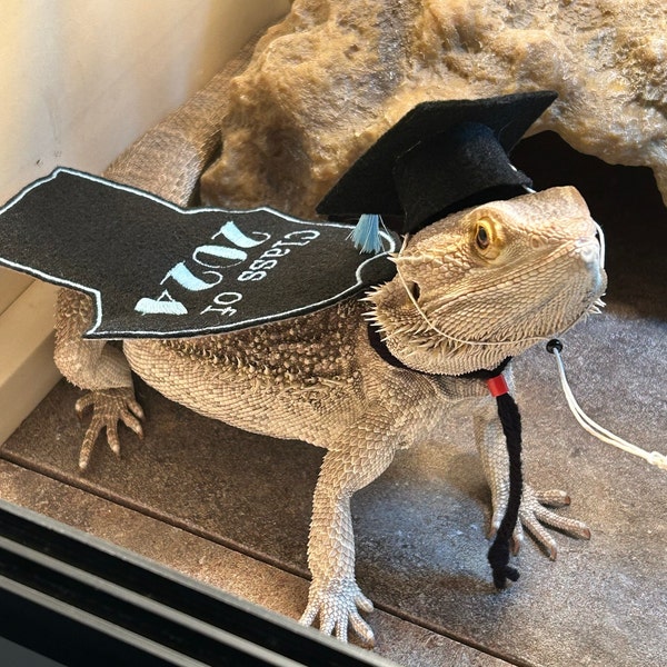 Bearded Dragon Graduation Cap and Gown - Etsy