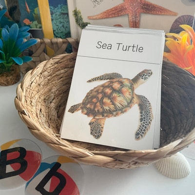 24 Desert Animals Montessori Flashcards With Fun Facts: Educational ...