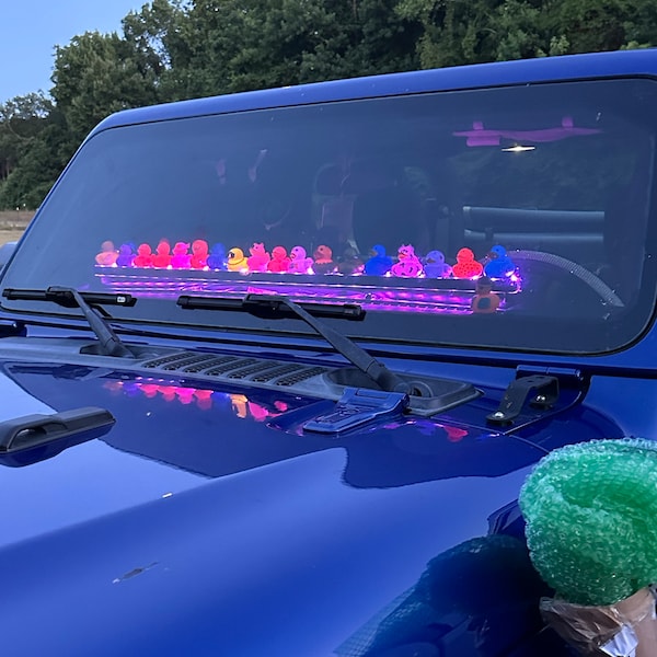 Duckwood Dual LED Duck Display Bar: 210 Color Options - Etsy