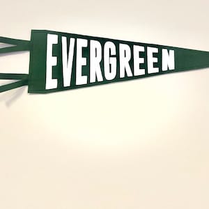 Large Custom Pennant Flag Cursive Font - Etsy