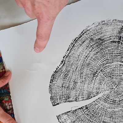 Western Red Cedar, Tree Ring Print, Black and White Tree Ring Print ...