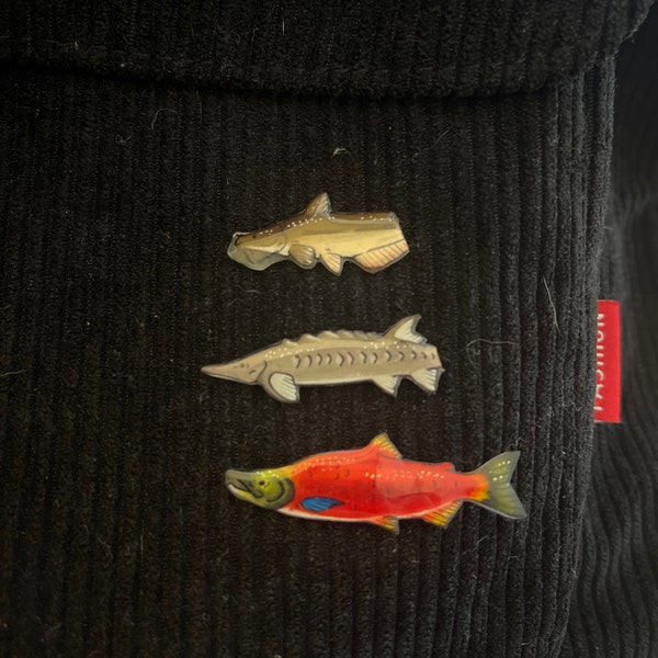 Arapaima Fish Lapel Pin - Etsy