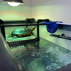 Premium Hanging side Saddle Aquarium Safe Turtle - Etsy Canada