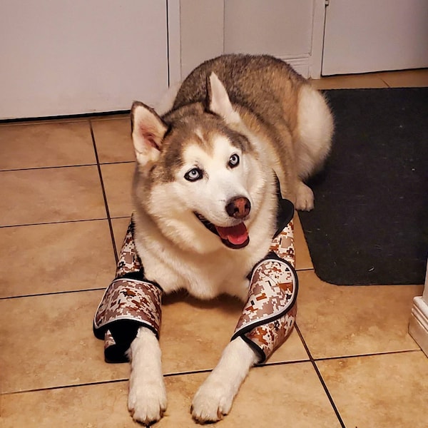 Adjustable K-9 Elbow Callus Pressure Sores Reflective Dog Elbow ...