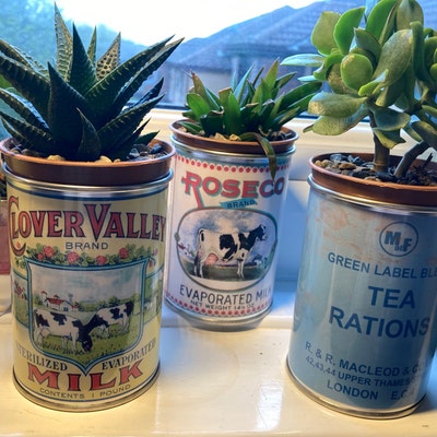 Ration Reproduction WW Food Tin Cans Display Props Collectible Re ...