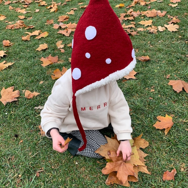 Red Gnome or Pixie Wool Hat for Adult. Santa Hat, Woman Pixie Hat Cosy ...