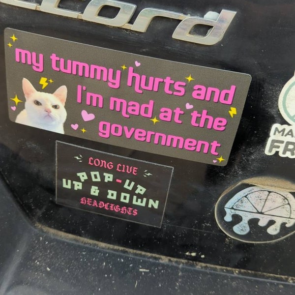 My Tummy Hurts and I’m Mad at the Government 7" Bumper Sticker or ...