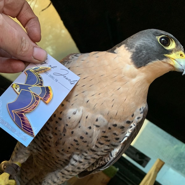 Peregrine Falcon Hard Enamel Pin | Falcon Pin | Art Deco | Bird Pin - Etsy