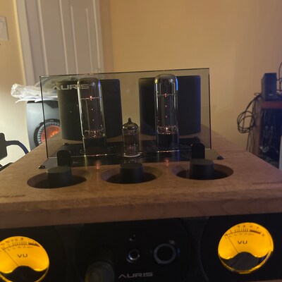 GE 6SF5GT Vacuum Tube General Electric Glass 6SF5 Tube - Etsy