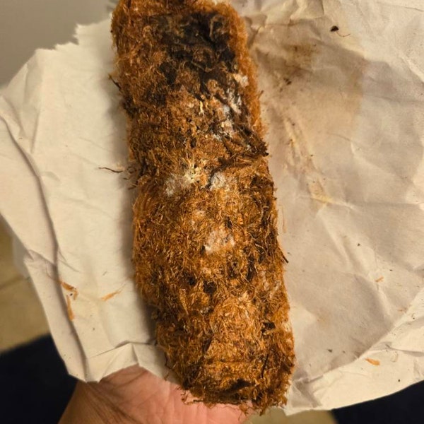 KALAWALLA ROOT - Etsy