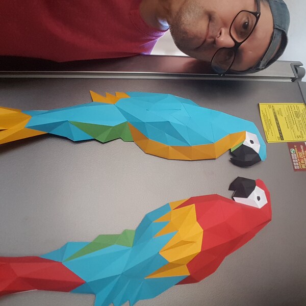 Macaw Wall Paper Craft, Digital Template, Origami, PDF Download DIY ...