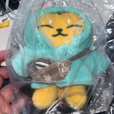 Enhypen En-dolls Animal Fanmade Plushie Jungwon Heeseung Jake Jay ...