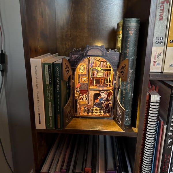 Cat Book Nook: 3D DIY Wooden Puzzle Miniature Bookshelf Insert - Etsy