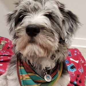 Pet ID Tag Dog Tag Western Dog Tags for Dogs Cat Id Tag Pet Tag With ...