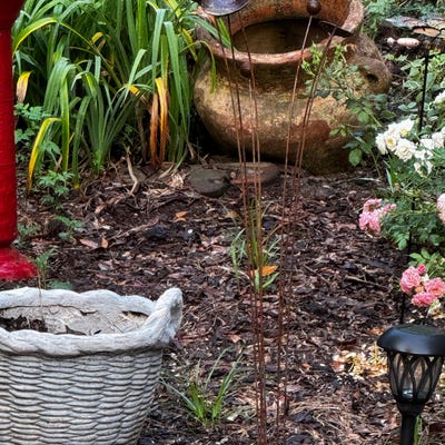 Mitten Tree/hat and Glove Drying Rack/housewarming Gift/home Decor/sale ...