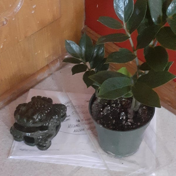 1pcs Natural Dream Amethyst Cup, Crystal Couple Tea Cup, Coffee Cup ...