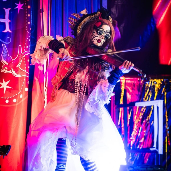 Fairy Tale Corset Custom Satin Basque Waist Top Elegant Vintage Corset ...